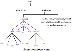 CBSE Class 6 English Grammar The Verb - CBSE School Notes